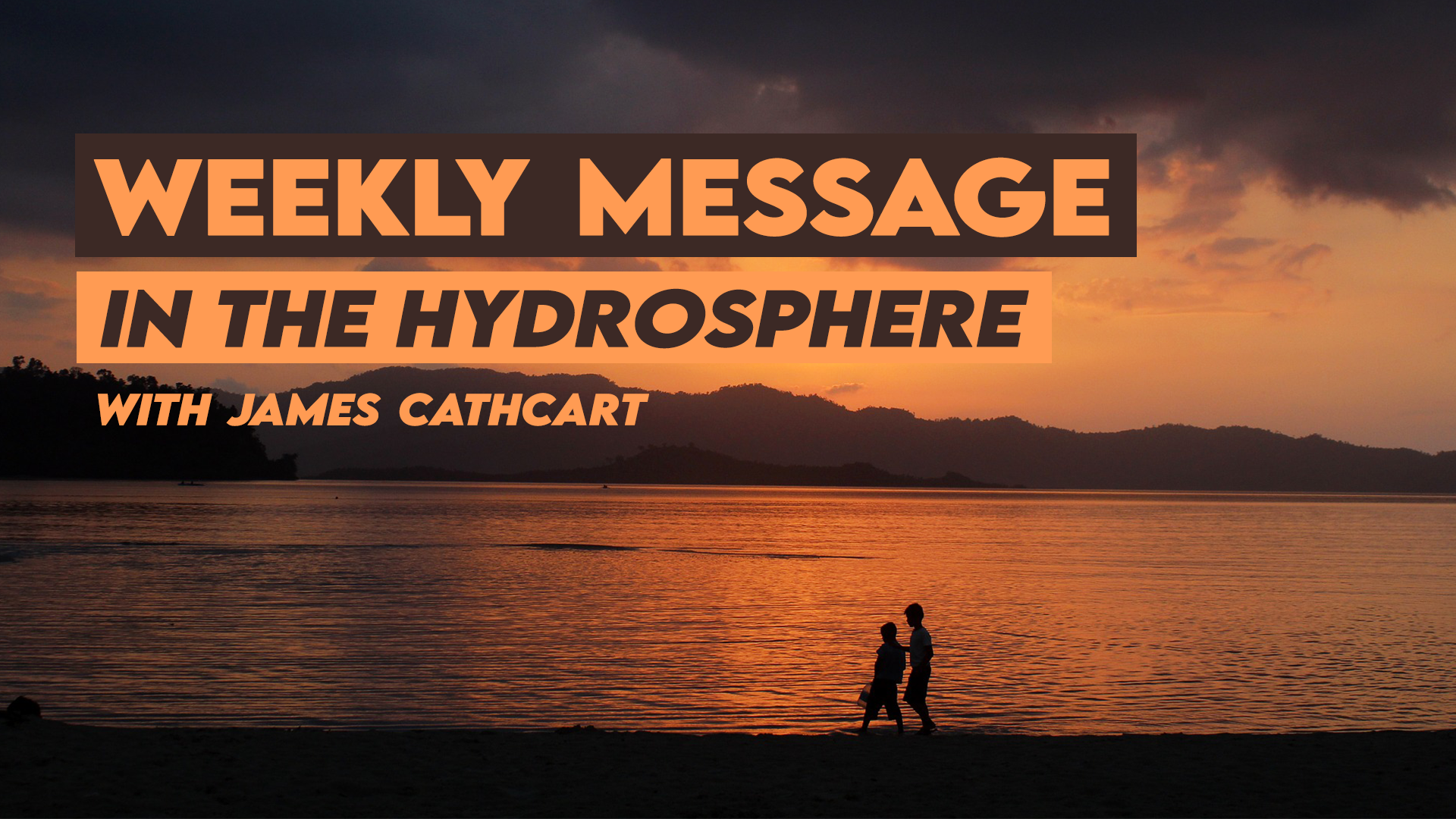 Welcome | Sanctuary First